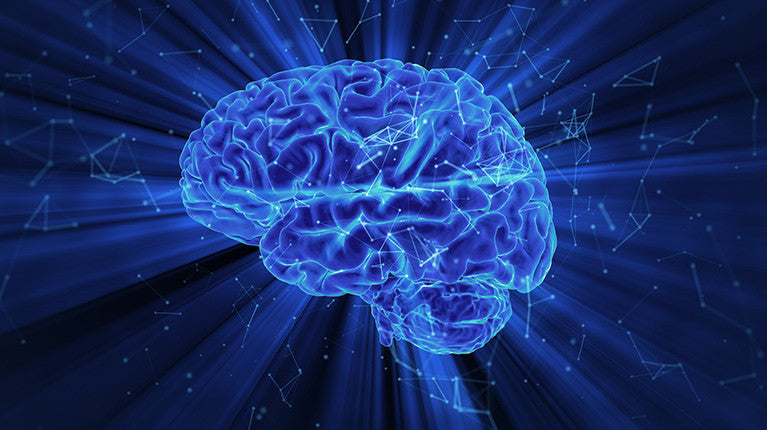 Cognitive Support – Integrity Health Naturals