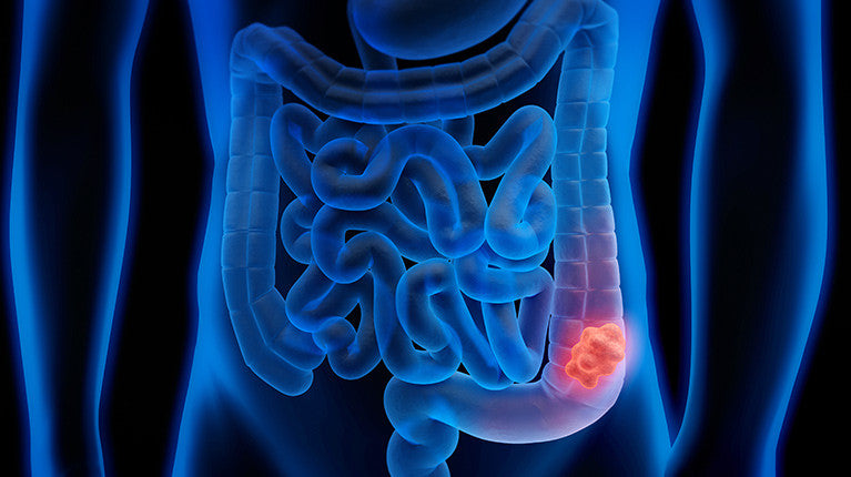 Gastrointestinal Support – Integrity Health Naturals